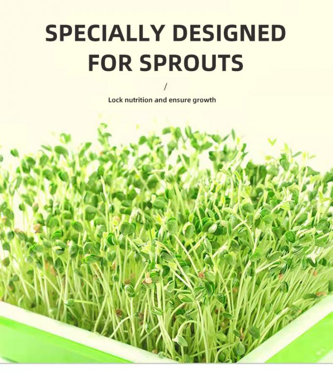 Light Transmitting Seed Sprout Tray Seed Germination Box Flexible