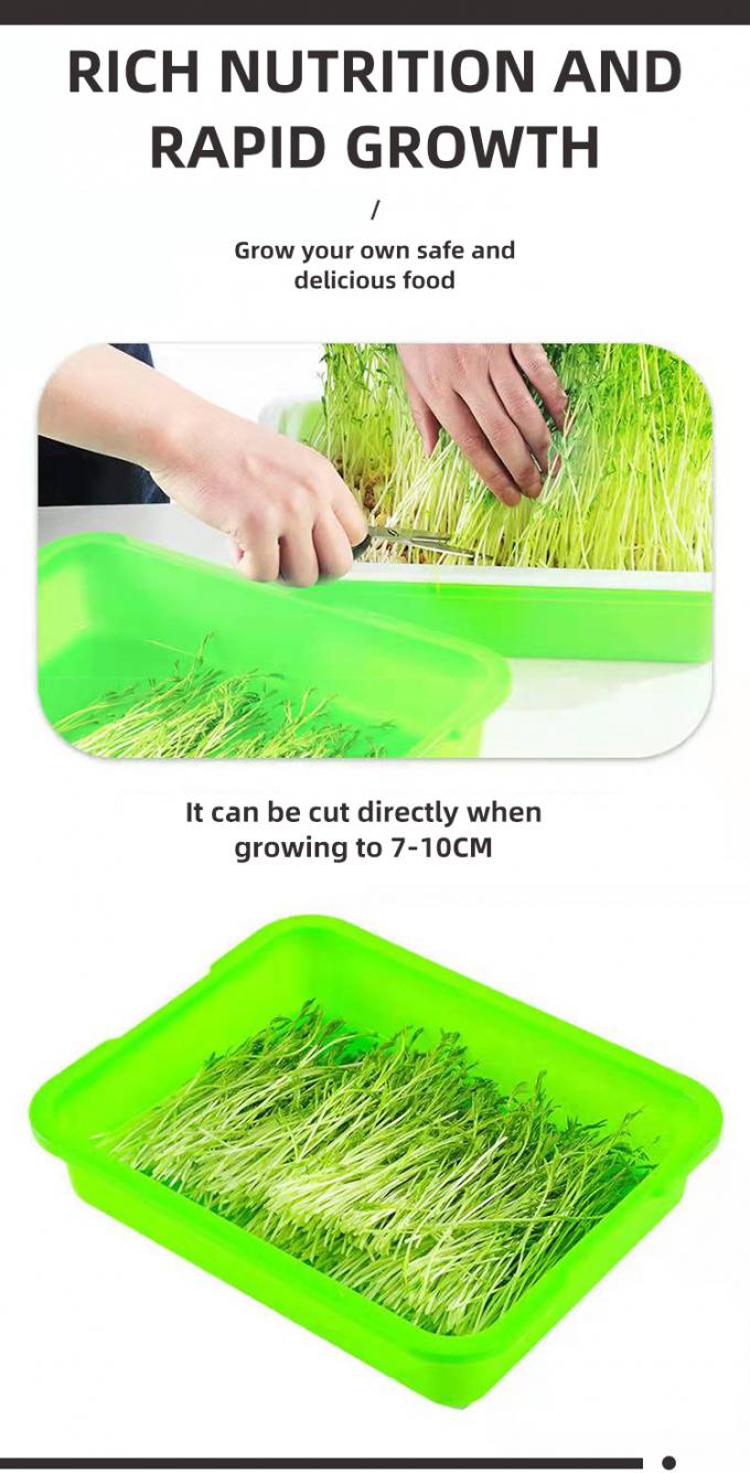 Light Transmitting Seed Sprout Tray Seed Germination Box Flexible